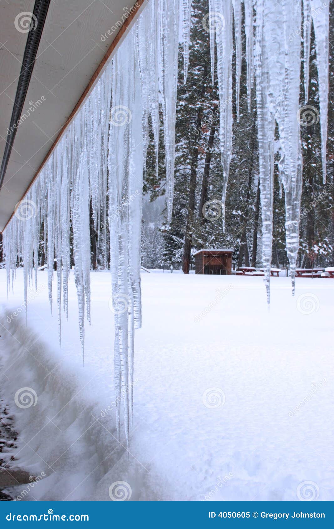 Icecycles Form Photos - Free & Royalty-Free Stock Photos from Dreamstime