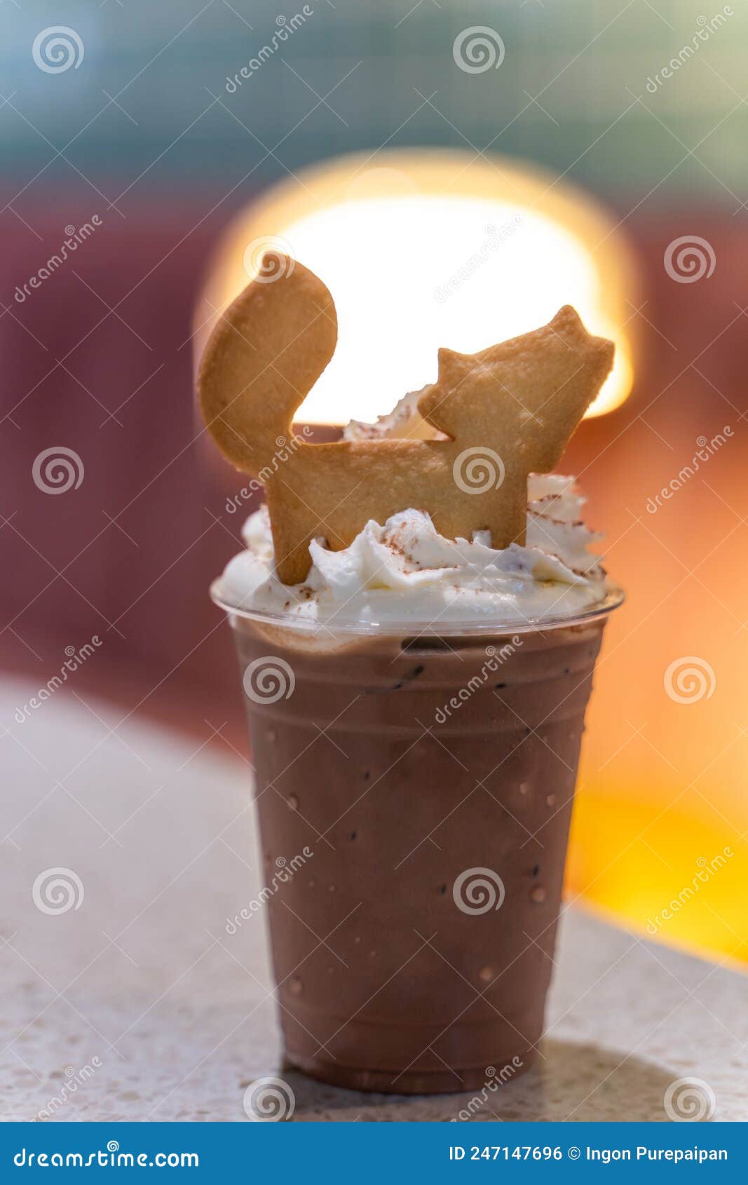 Iced Chocolate Topped with Whipped Cream and Crackers Shaped Fox Stock ...