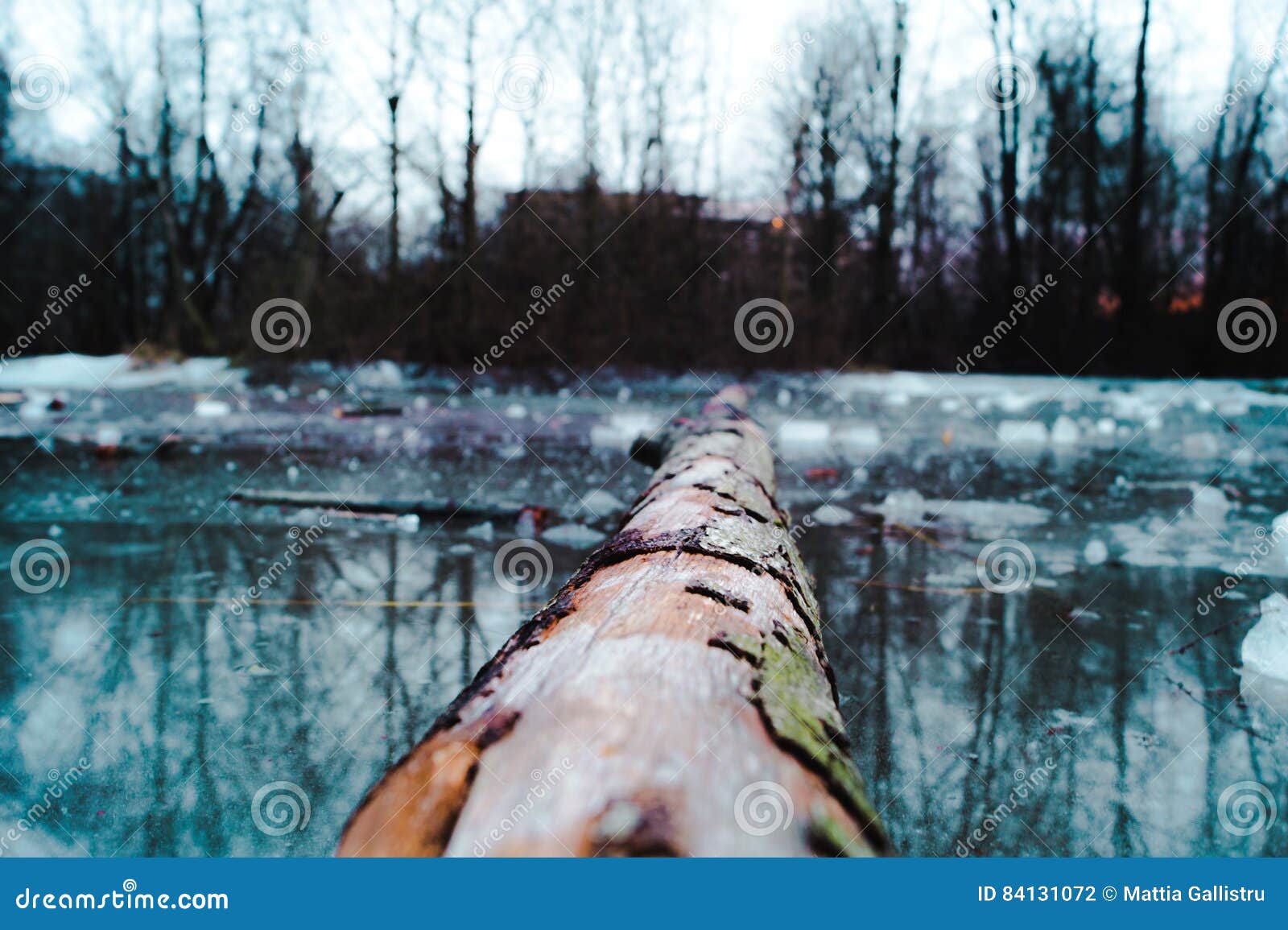 Iced lake stock photo. Image of fantastic, tree, lake - 84131072