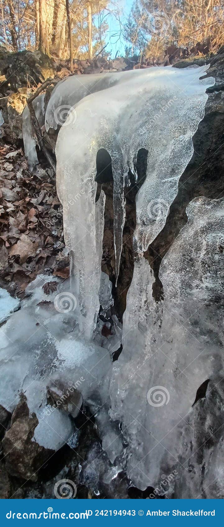 Iced Over Overflow. Sibbald Meadows Pond Provincial Recreation Area ...