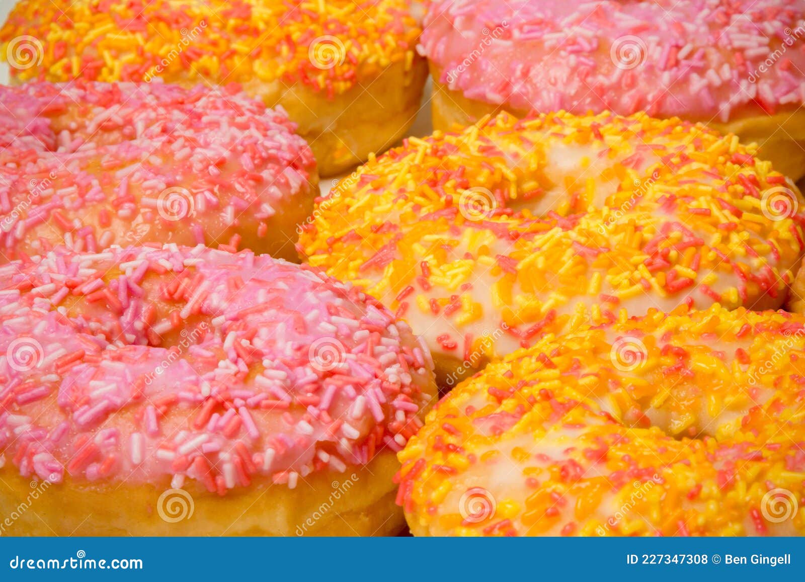 Iced Ring Donuts stock photo. Image of snack, white - 227347308