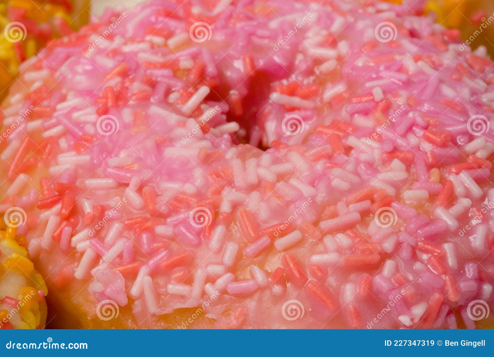 Iced Ring Donuts stock image. Image of donuts, delicious - 227347319