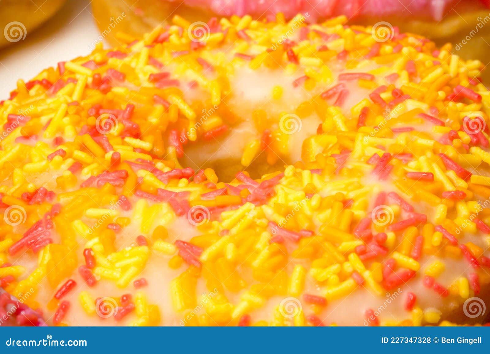 Iced Ring Donuts stock photo. Image of food, ring, nutrition - 227347328