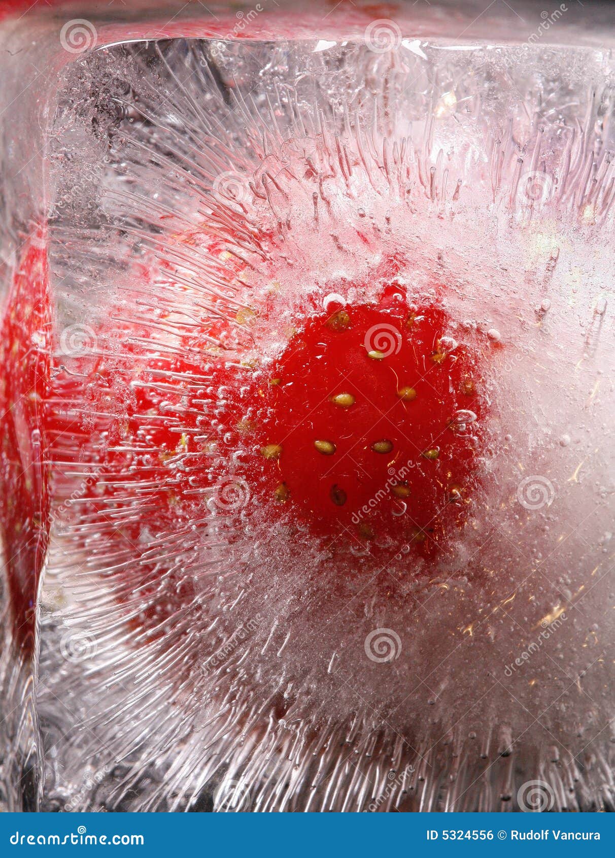Iced strawberry stock photo. Image of preserved, details - 5324556