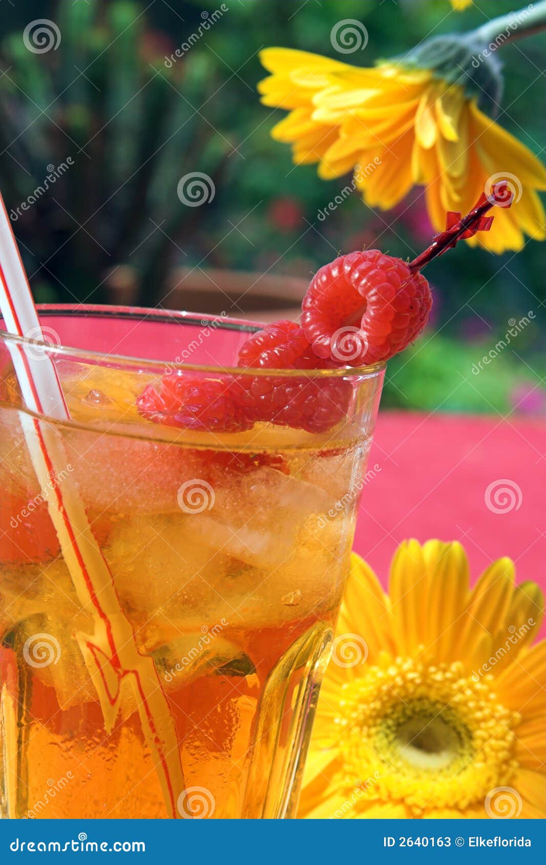 Iced tea stock image. Image of beverage, cool, summer - 2640163