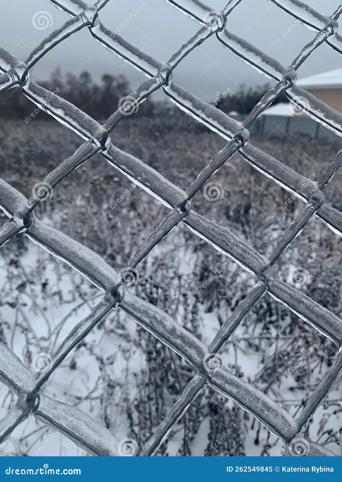Ice Fence stock image. Image of freezing, winter, snow - 262549845