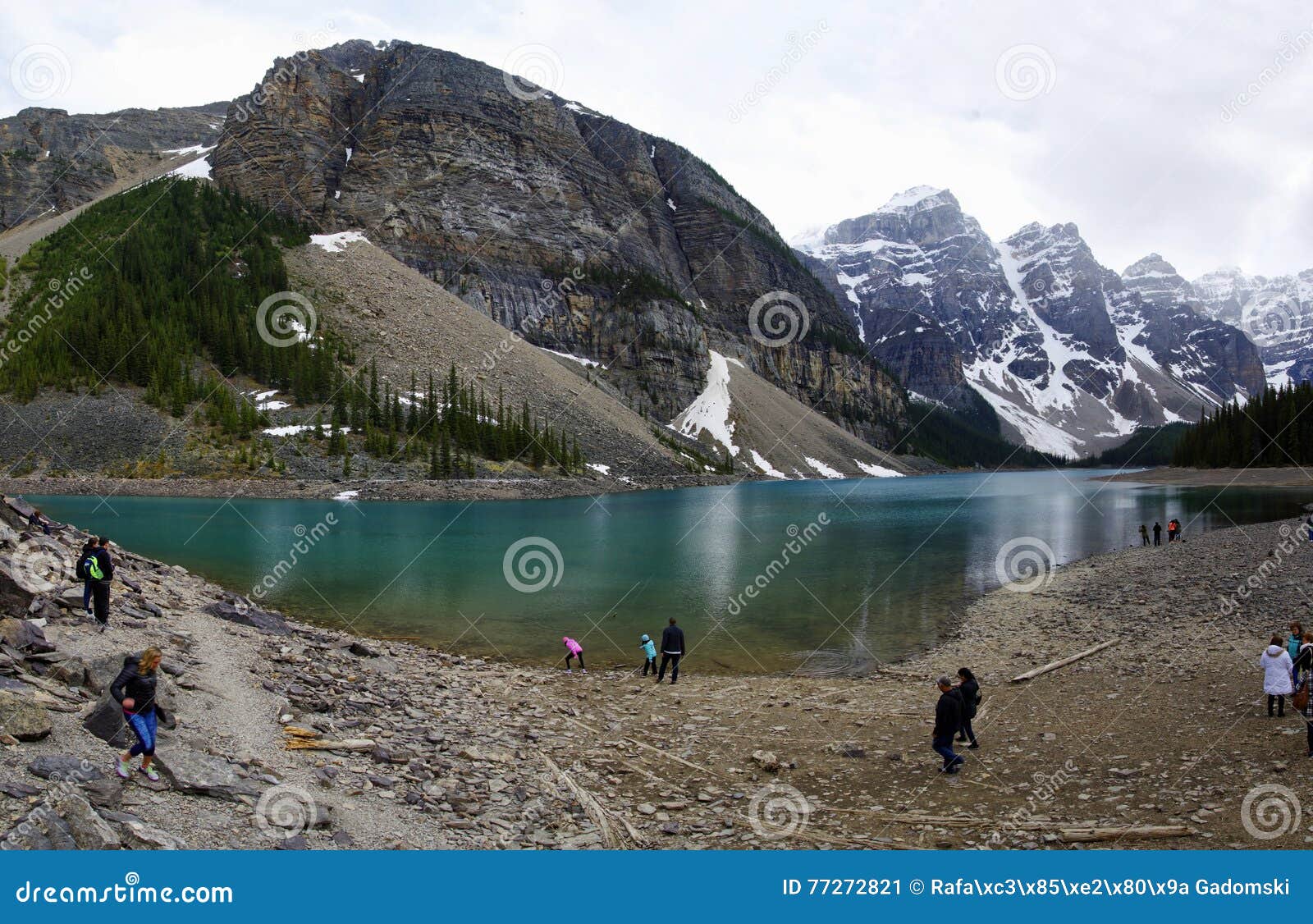 Icefield Parkway, Alberta, Canada Editorial Photo - Image of forest ...