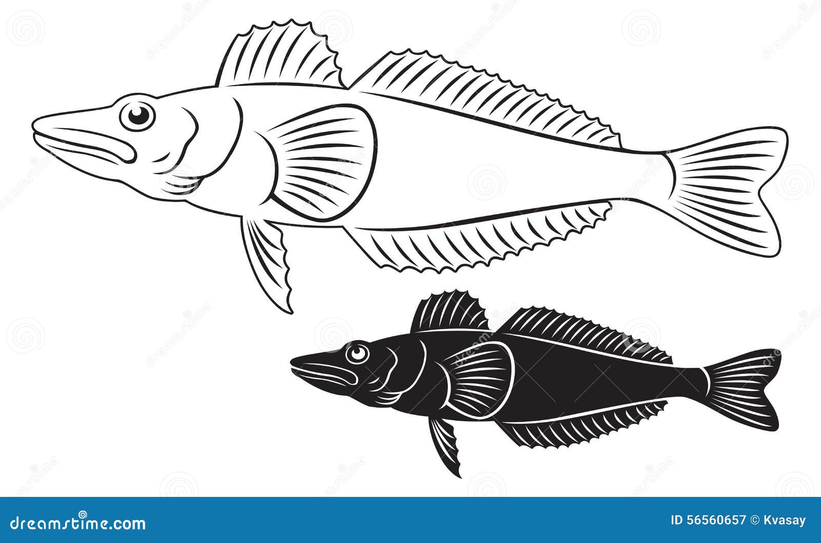 Icefish stock illustration. Illustration of commercial - 56560657