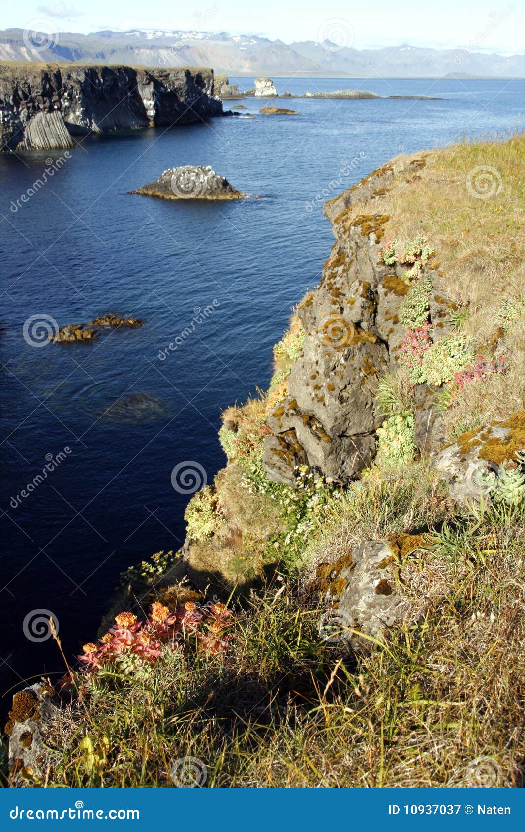 Iceland stock image. Image of rock, atlantic, cliffs - 10937037