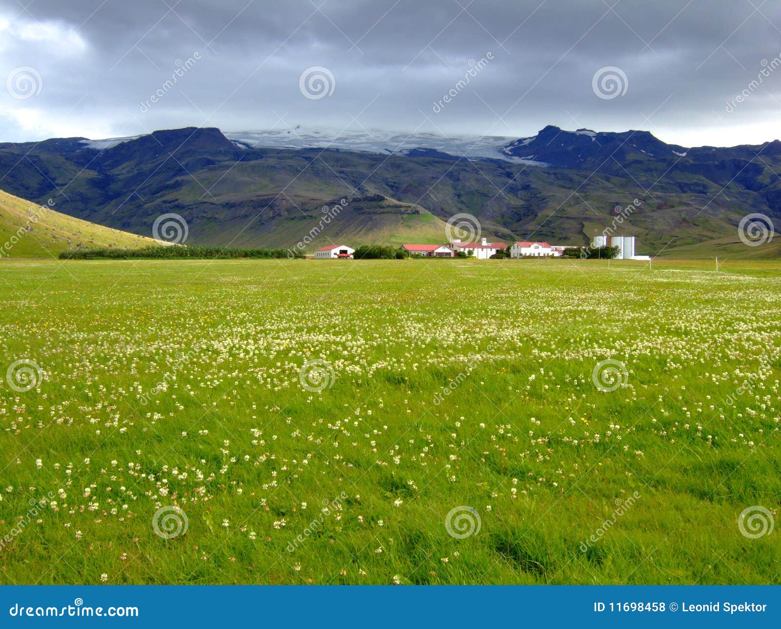 Iceland farm stock photo. Image of flowers, greenery - 11698458