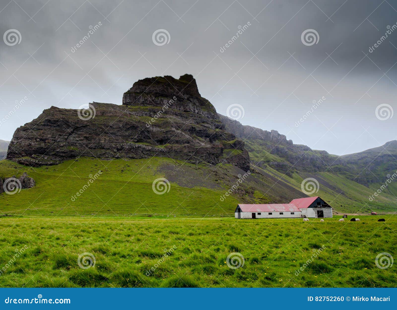 Iceland Farm with Grass Fields and Rocks Stock Photo - Image of cliff ...
