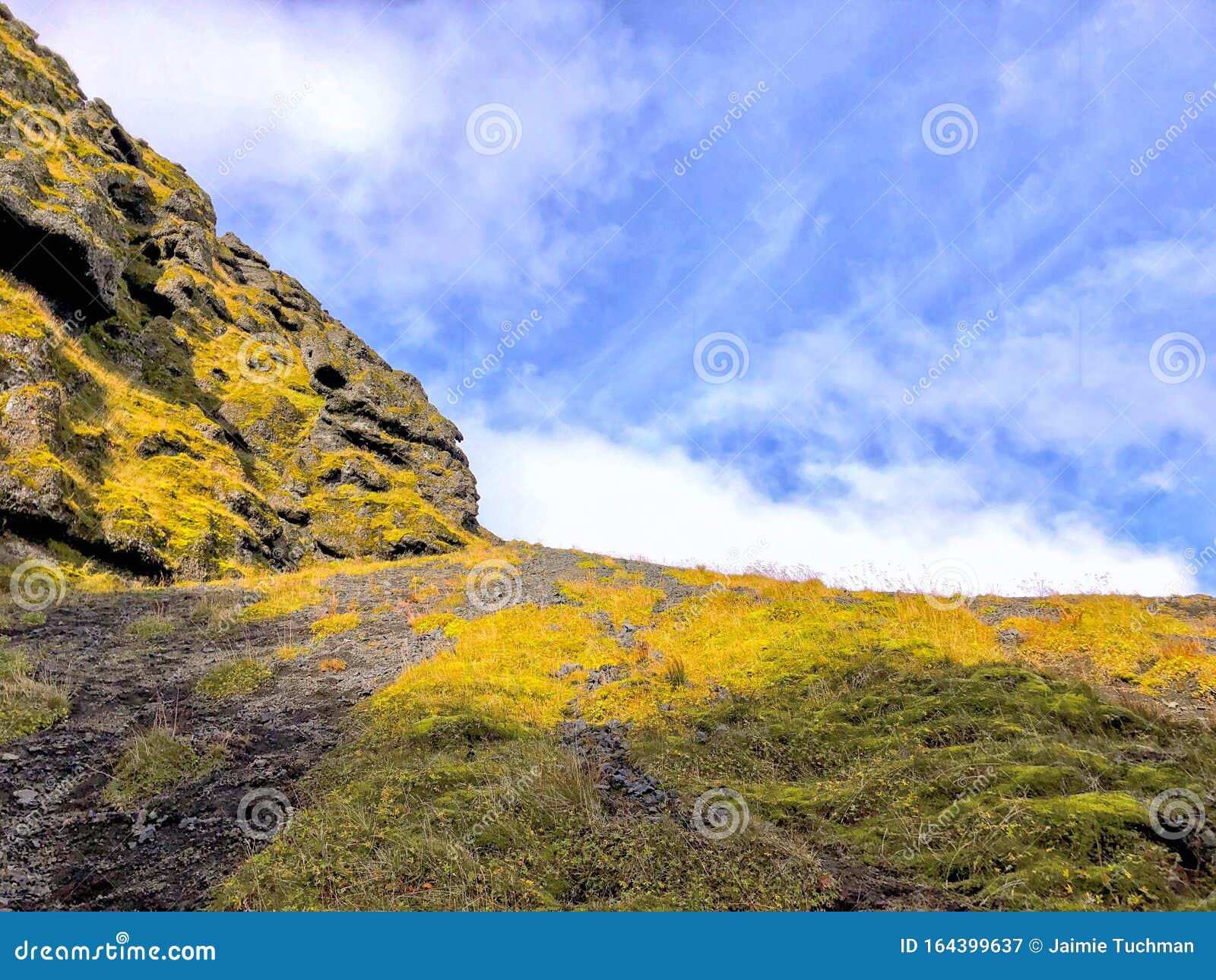Iceland Grass Covered Volcanic Rock Stock Image - Image of rocky, mossy ...