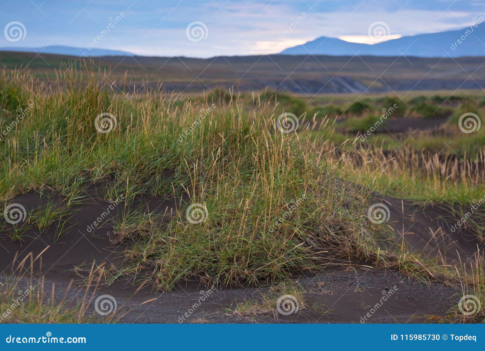 Black Volcanic Ash Dunes in Iceland Stock Photo - Image of geology ...