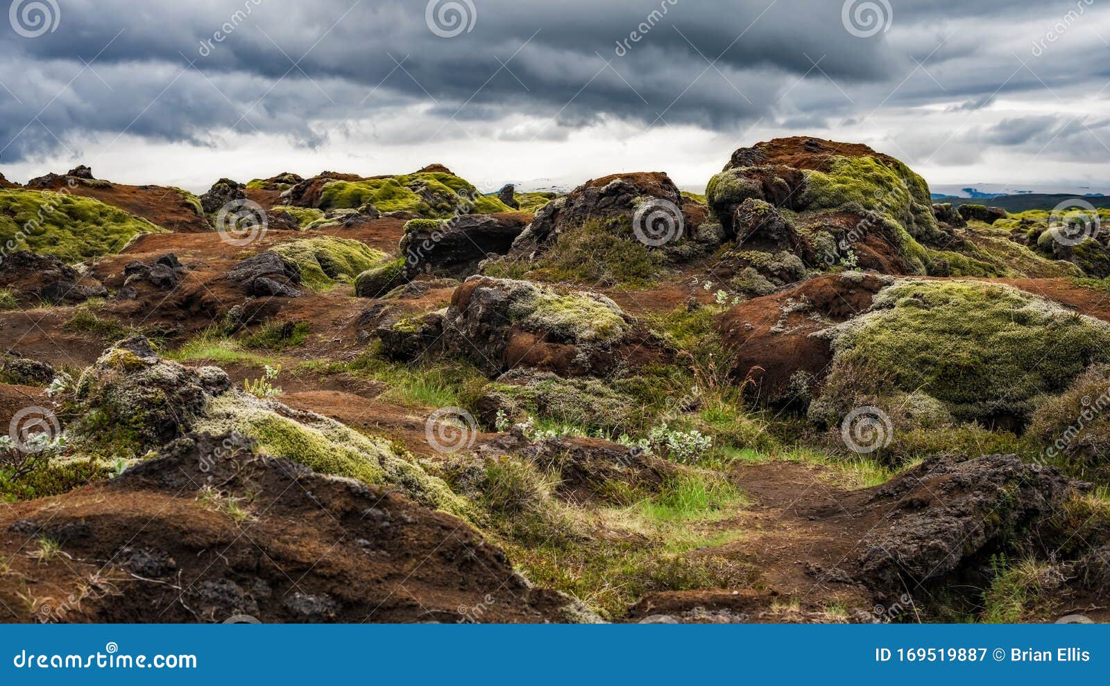 Iceland - Moss Covered Volcanic Area Stock Image - Image of blue ...