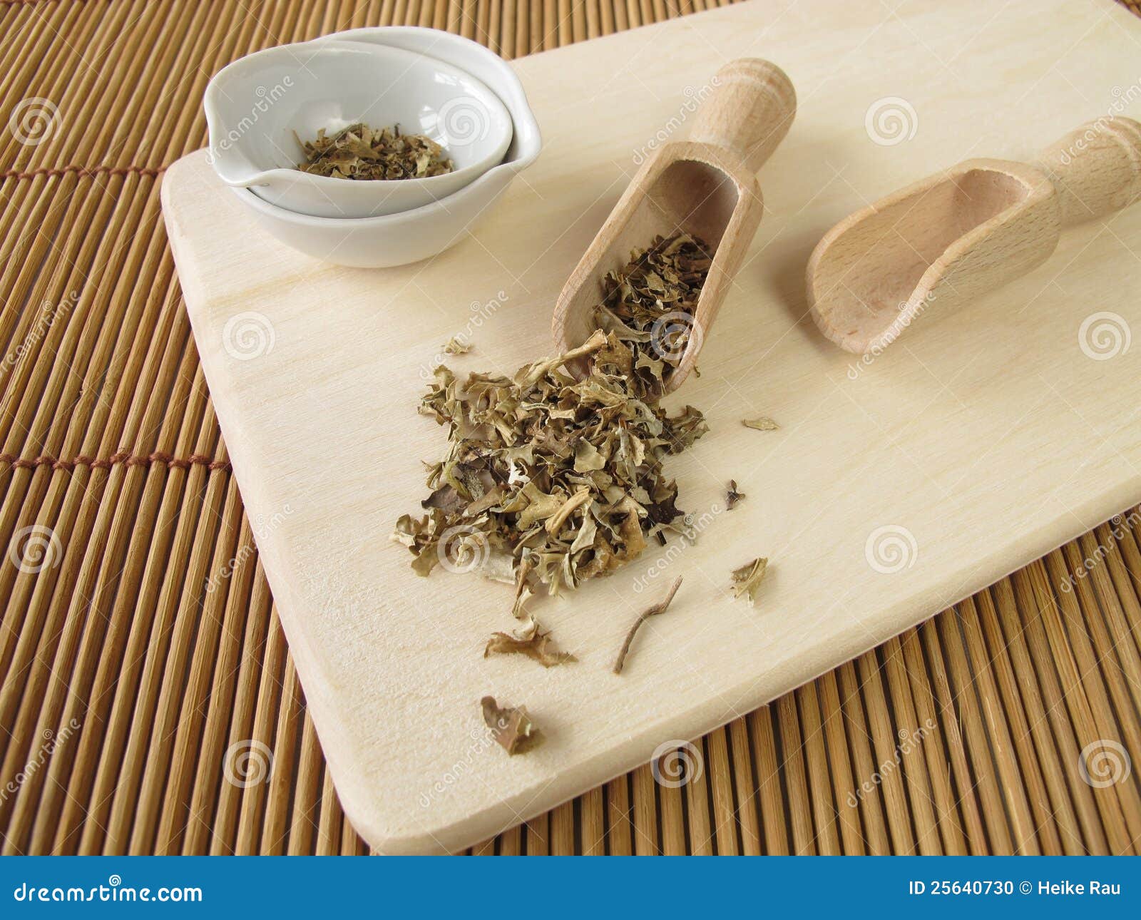 Moss Or Lichen On The Trunk And Roots Of Spruce Lies Under The Crown Of ...