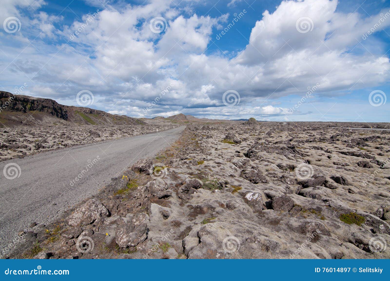 Iceland s lava fields stock image. Image of biege, brown - 76014897