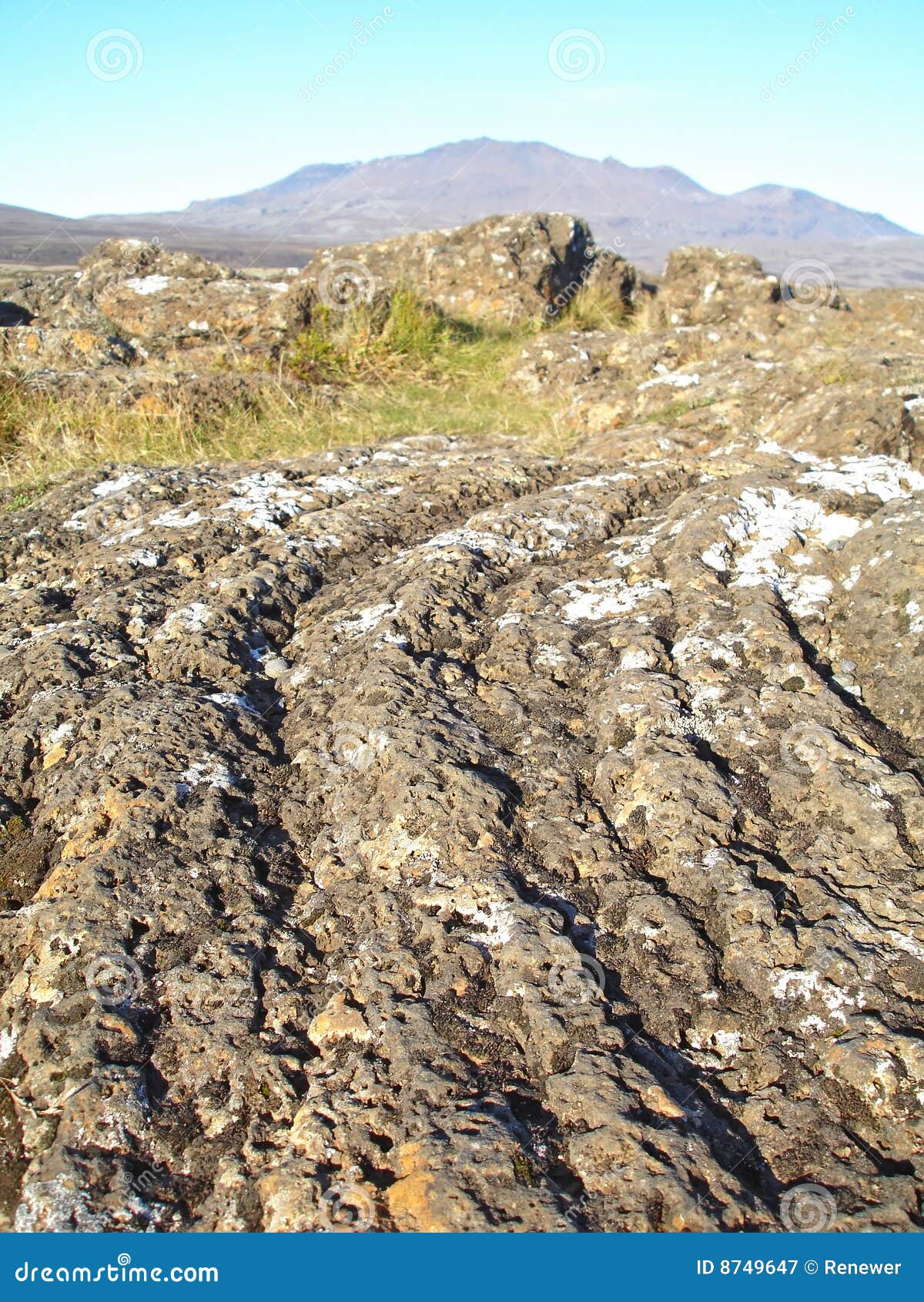 Iceland - Volcanic Lava Terrain Stock Image - Image of geology, lichen ...