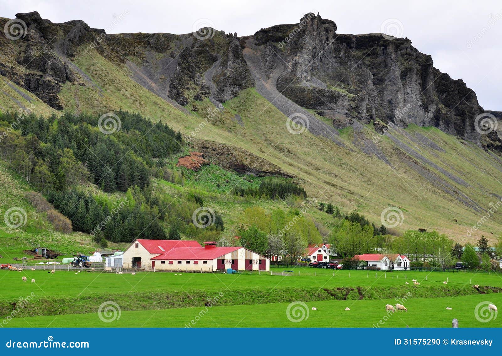 Icelandic farm stock photo. Image of icelandic, remote - 31575290