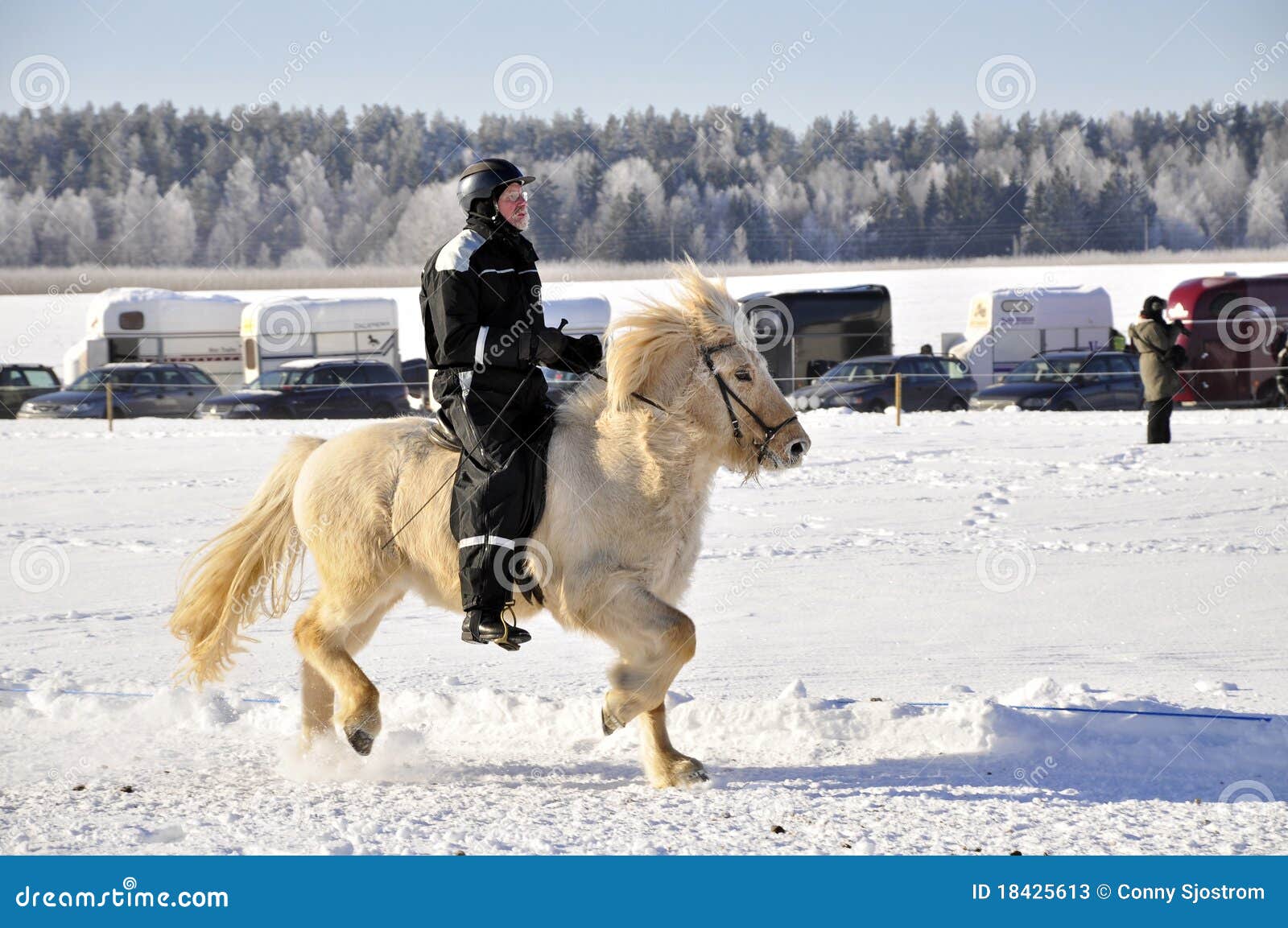Icelandic Horse Competition Editorial Stock Photo - Image of ...