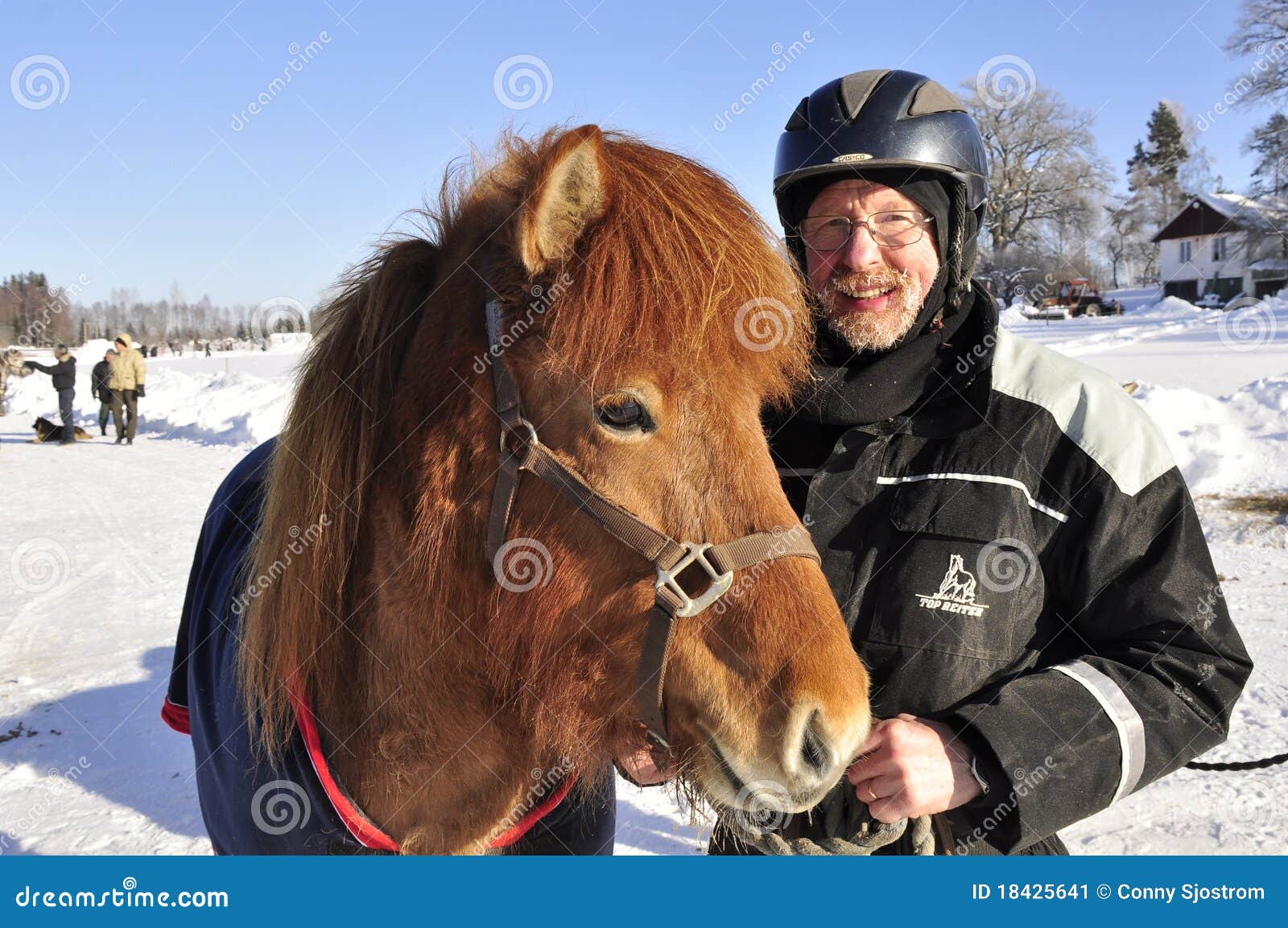 Icelandic Horse Competition Editorial Photo - Image of nordic, portrait ...