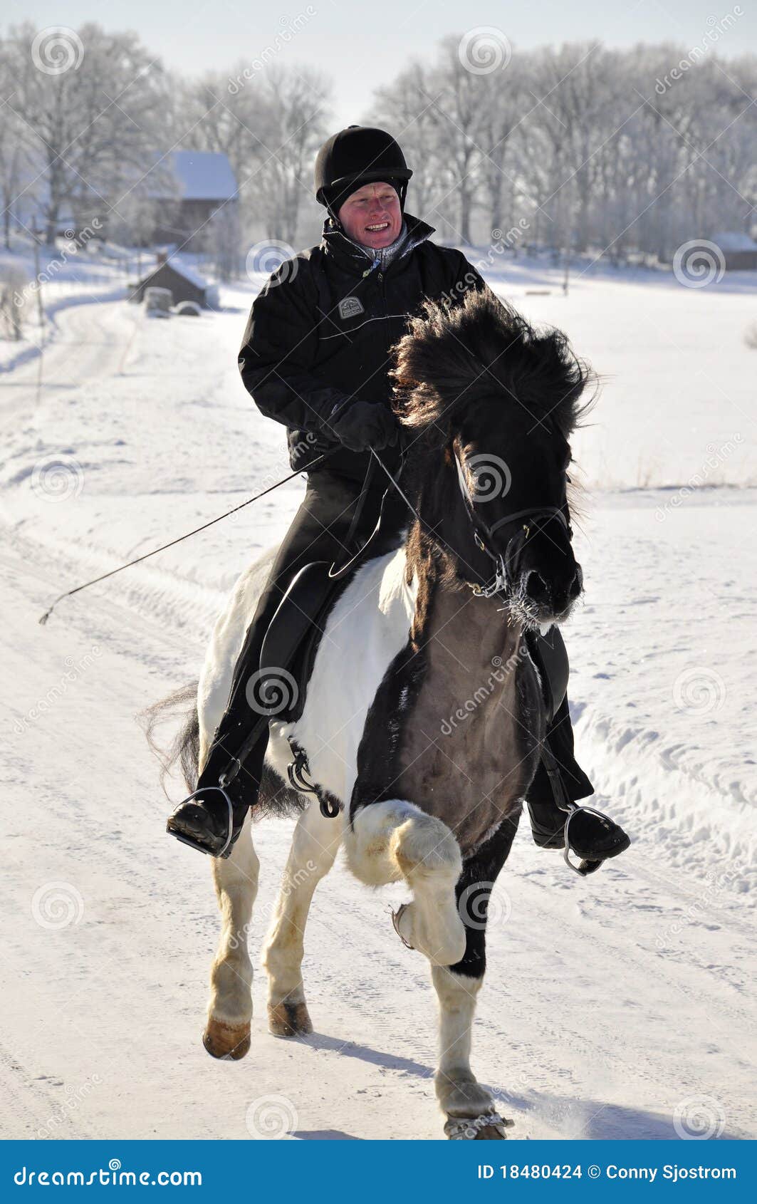 Icelandic Horse Competition Editorial Stock Image - Image of icelandic ...