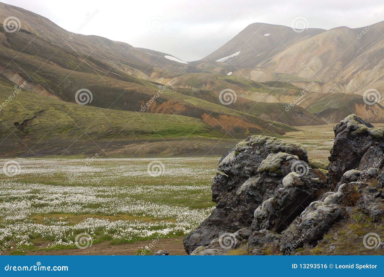 Icelandic landscape. stock photo. Image of overcast, hill - 13293516