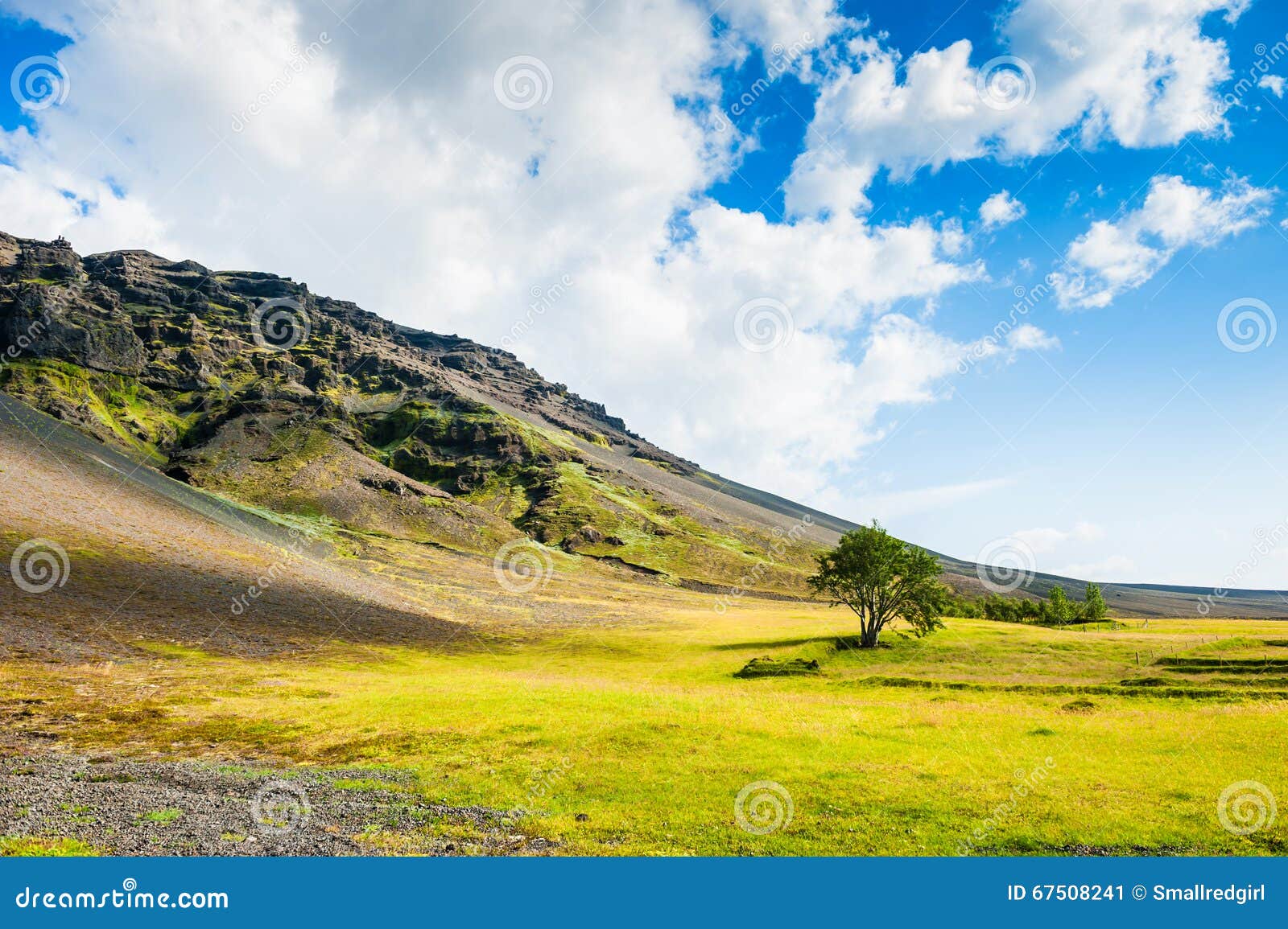 Icelandic Landscape with Mountains and Tree. Stock Image - Image of ...