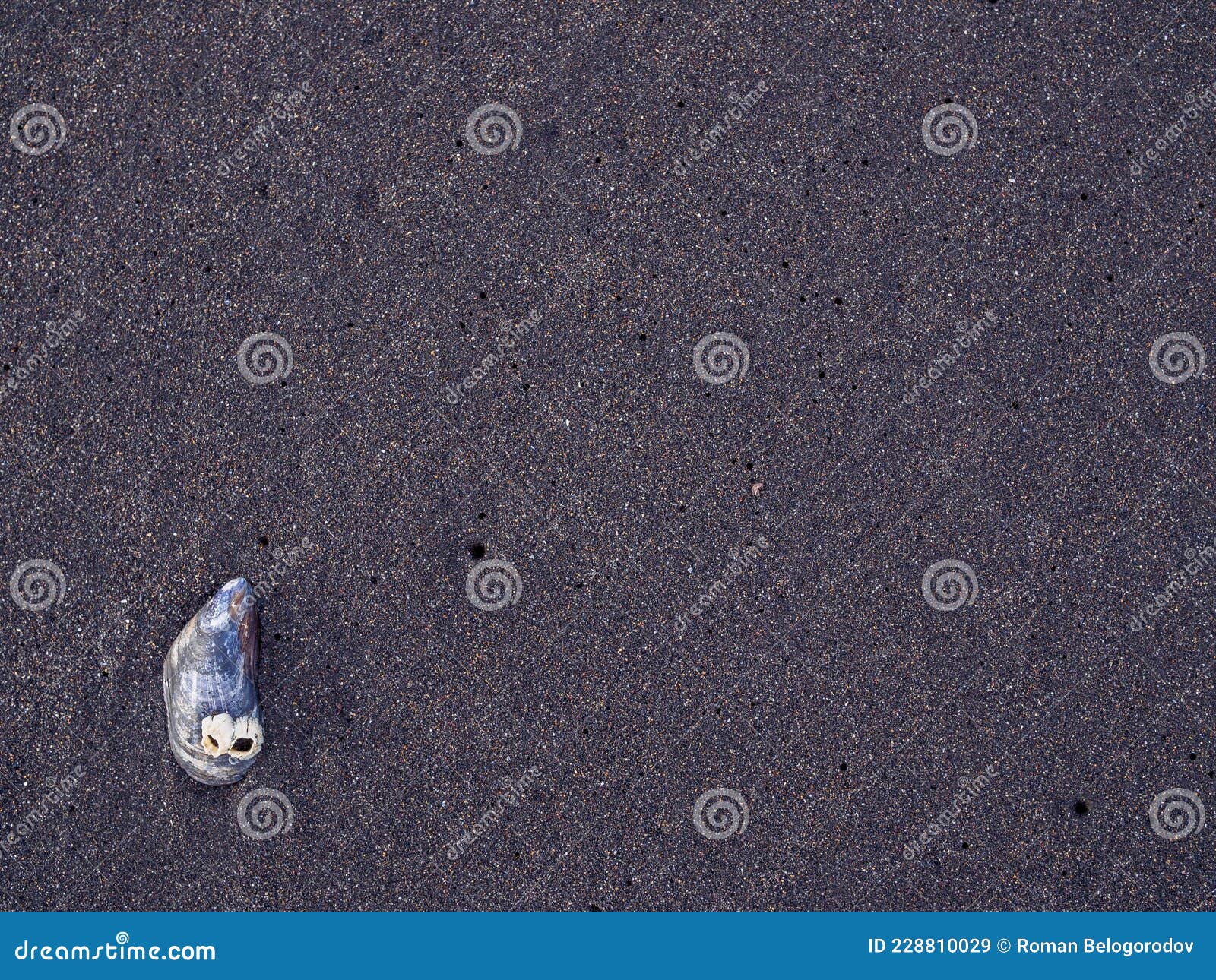 Icelandic Vulcanic Black Sand with Shell on it Stock Image - Image of ...