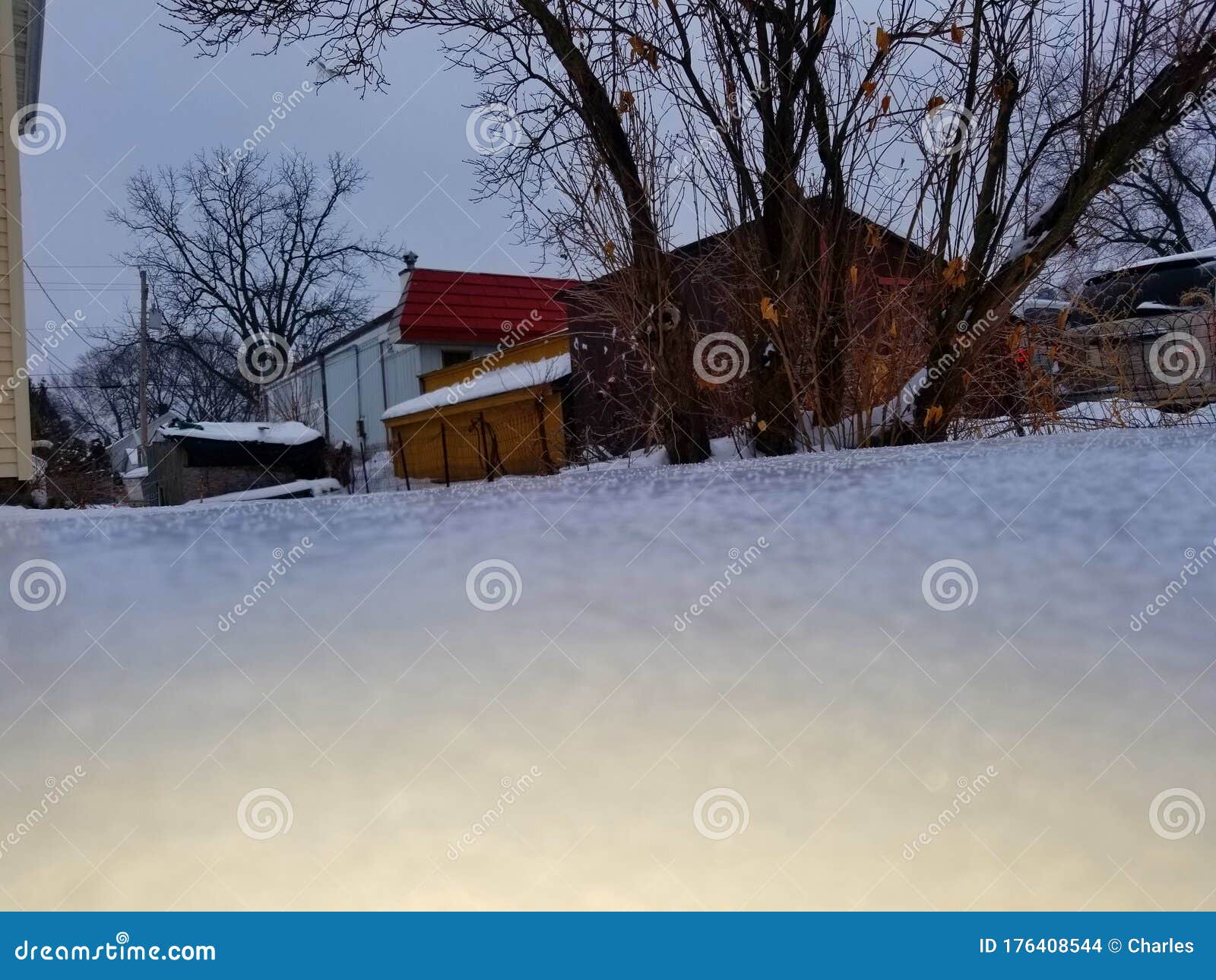 Icey snow fall stock photo. Image of winter, snow, fall - 176408544