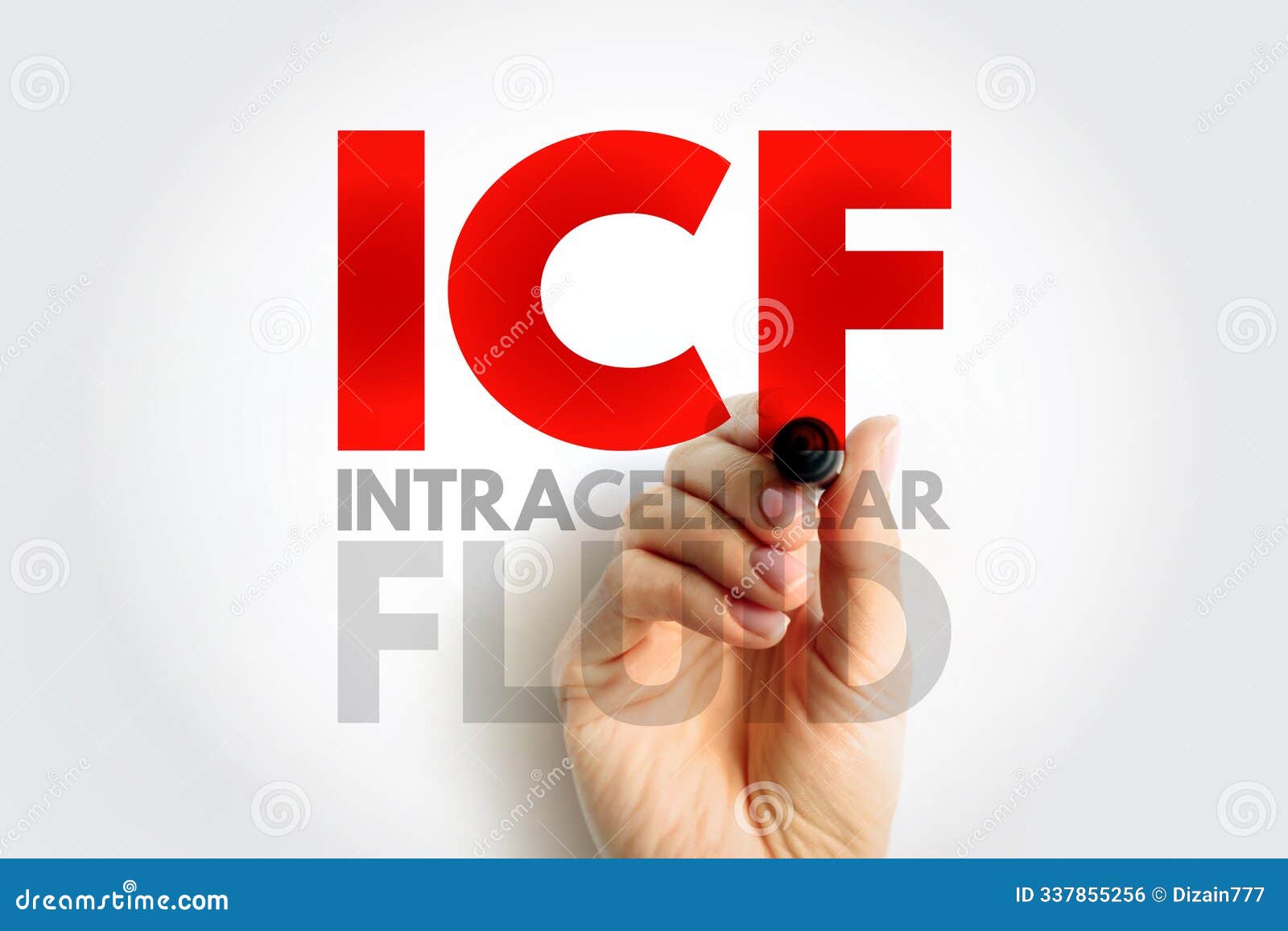ICF Intracellular Fluid is the Fluid Contained within Cells, Acronym ...