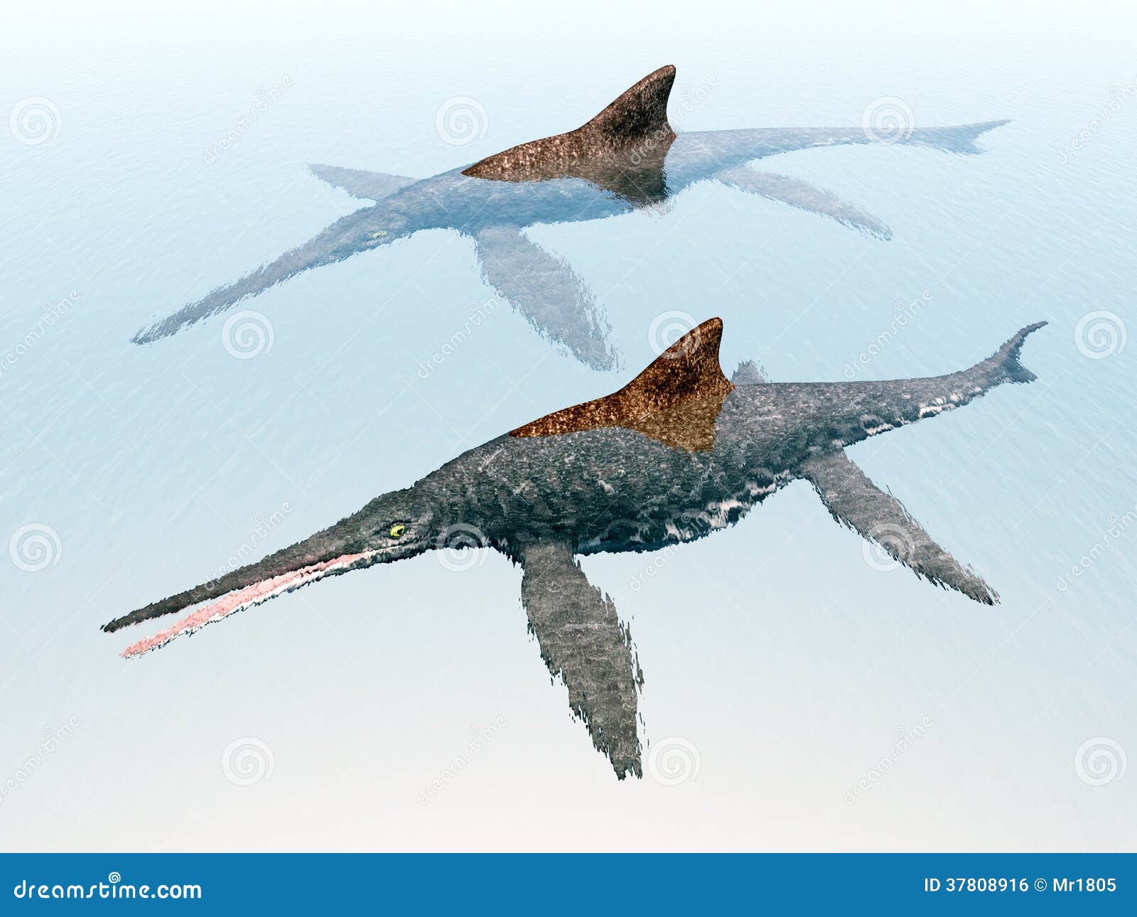 Shonisaurus Ichthyosaur Head Royalty-Free Stock Photography ...