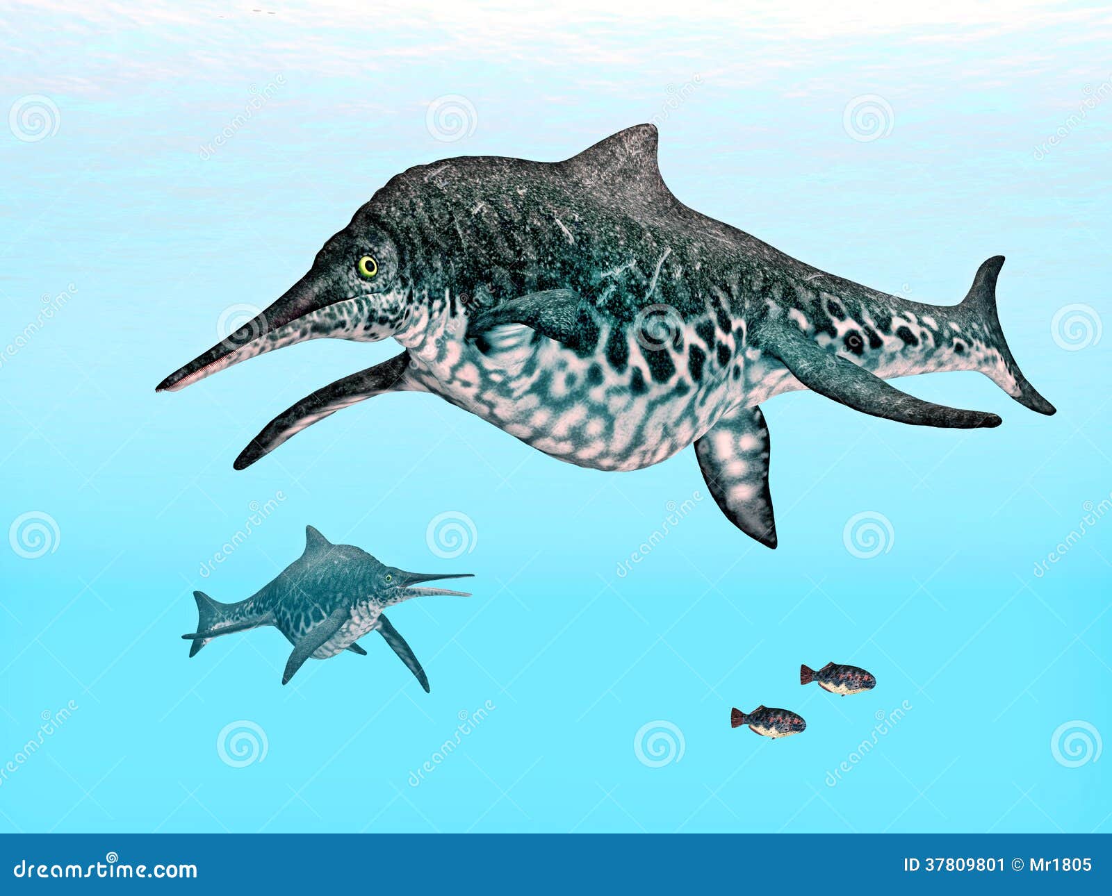 Ichthyosaur Shonisaurus stock illustration. Illustration of powerful ...
