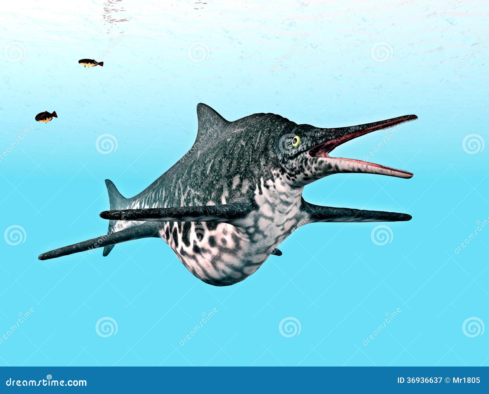 Shonisaurus Ichthyosaur Side Profile Royalty-Free Stock Photography ...