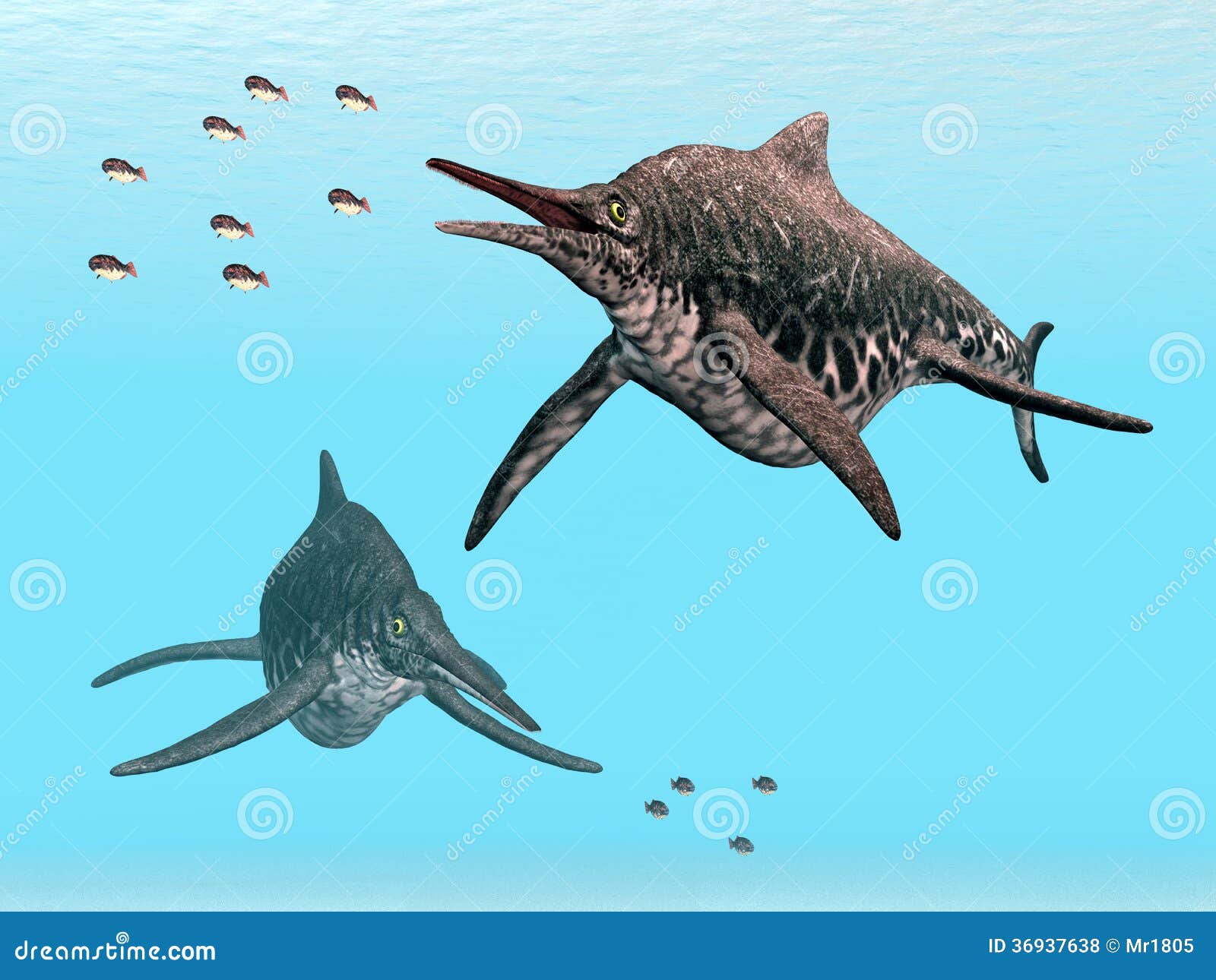 Shonisaurus Ichthyosaur Side Profile Royalty-Free Stock Photography ...