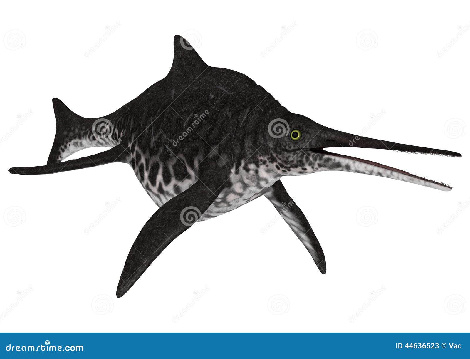 Shonisaurus Ichthyosaur Side Profile Royalty-Free Stock Photography ...
