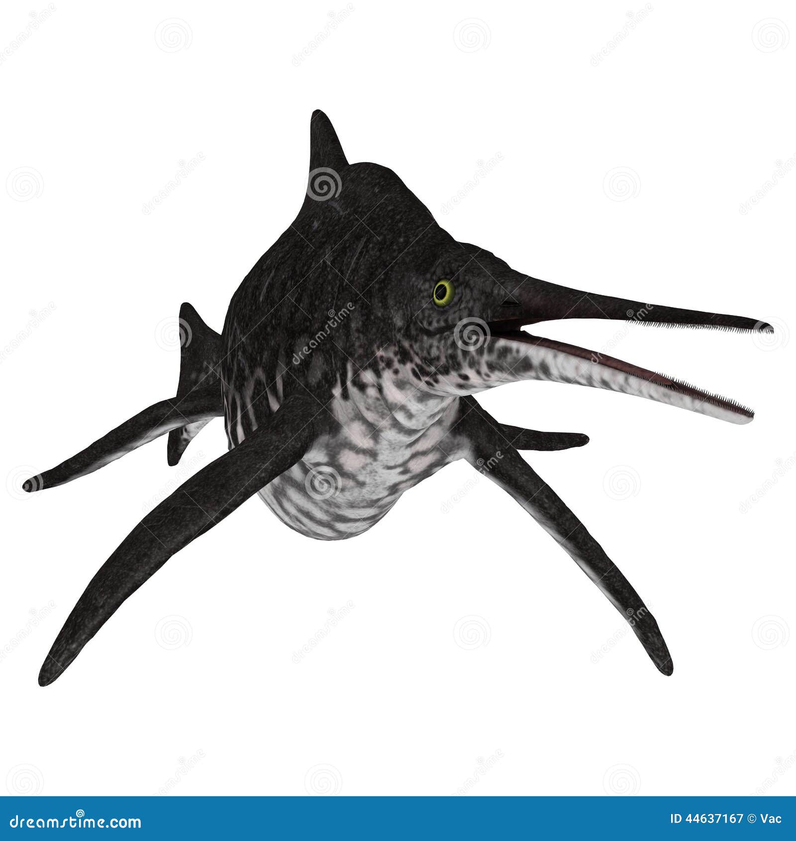 Ichthyosaur Shonisaurus stock illustration. Illustration of died - 44637167