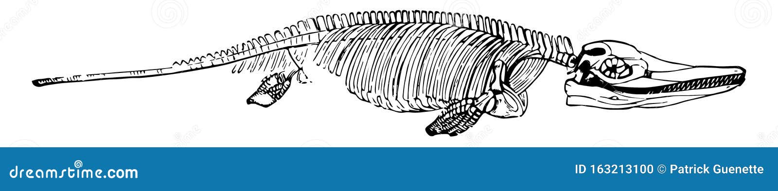 Ichthyosaurus, Vintage Illustration Stock Vector - Illustration of ...