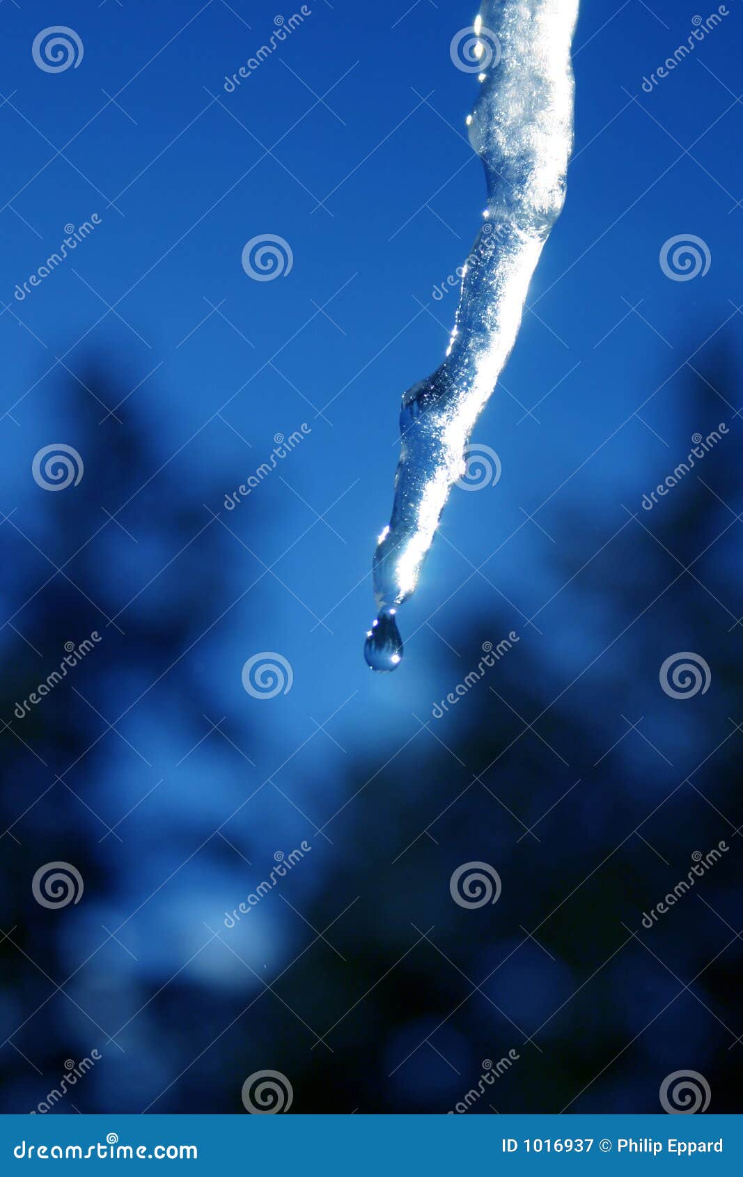 Icicle stock image. Image of natural, icicle, weather - 1016937
