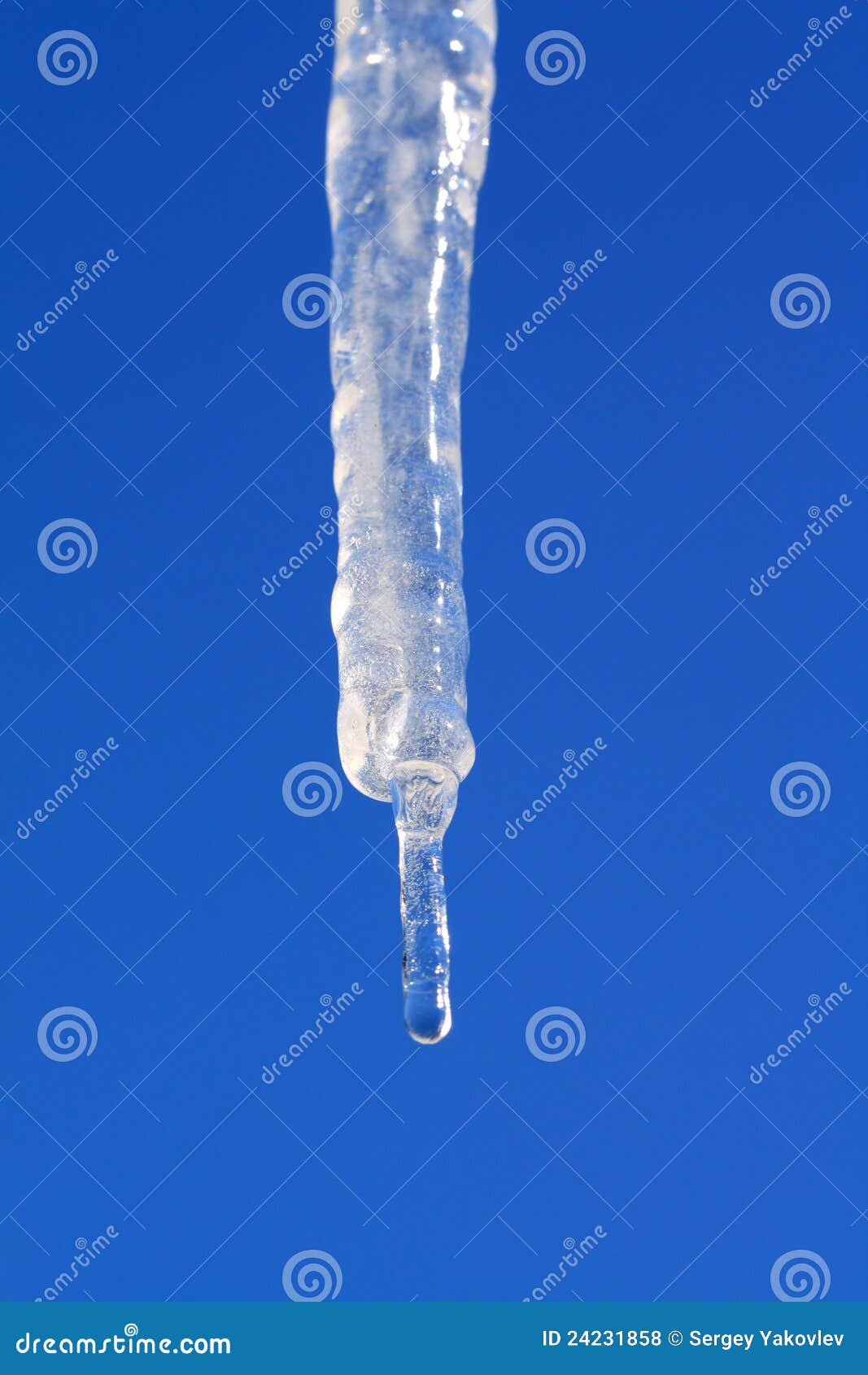 Icicle stock photo. Image of horizontal, shape, isolated - 24231858