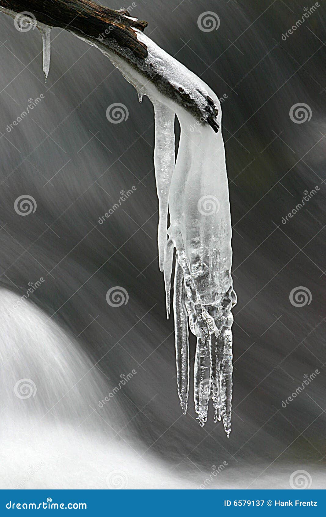 Icicle on Branch stock image. Image of icicles, frigid - 6579137