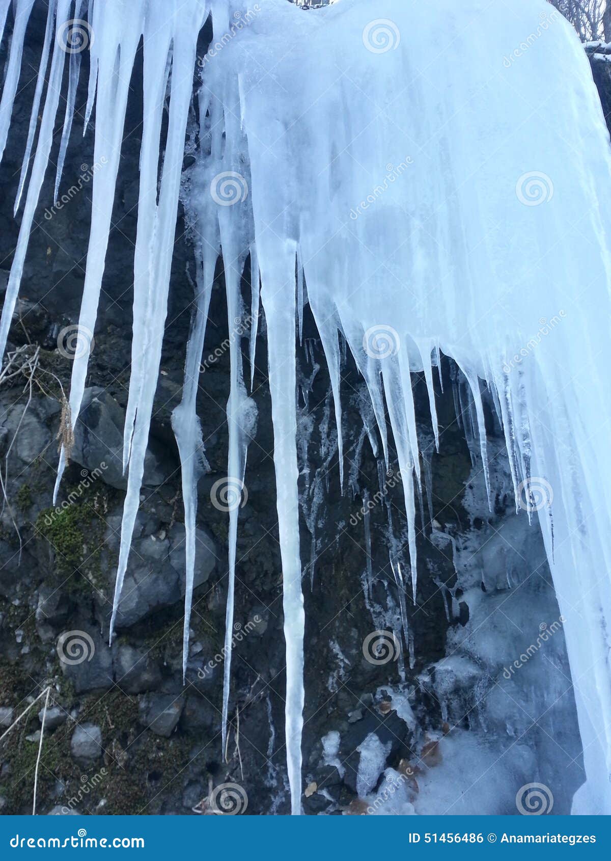 Icicle Curtain stock photo. Image of winter, transparency - 51456486