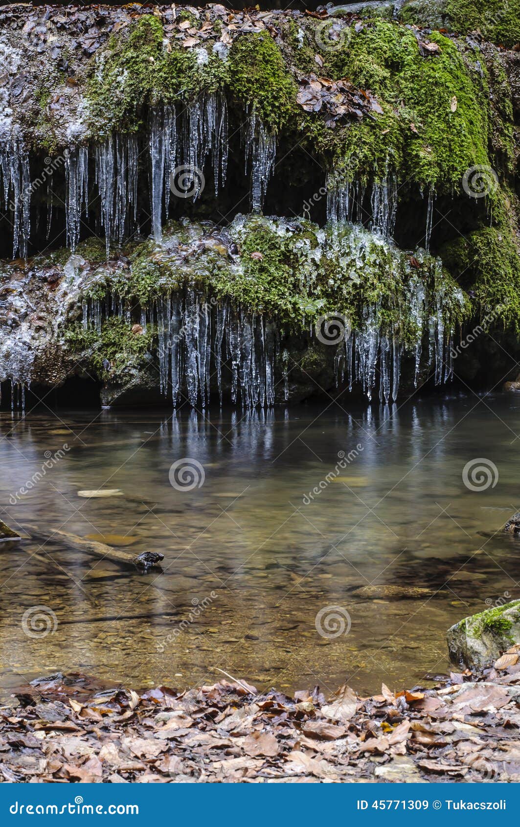 Icicle deep in the forest stock image. Image of moss - 45771309