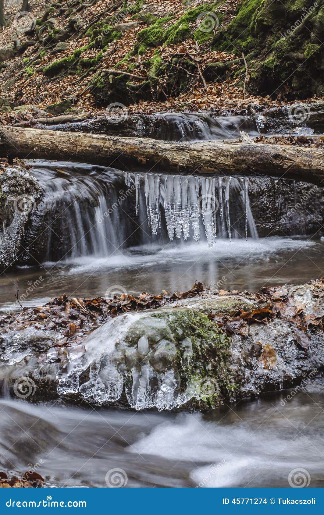 Icicle Deep in the Forest with Waterfall Stock Photo - Image of fall ...