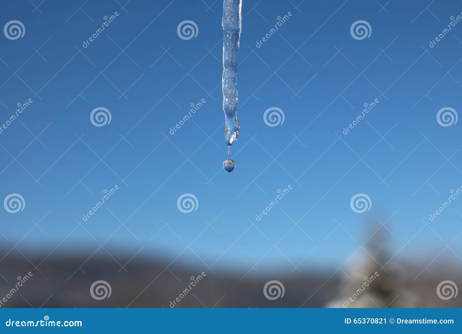 Icicle Drip stock image. Image of nature, drip, drips - 65370821