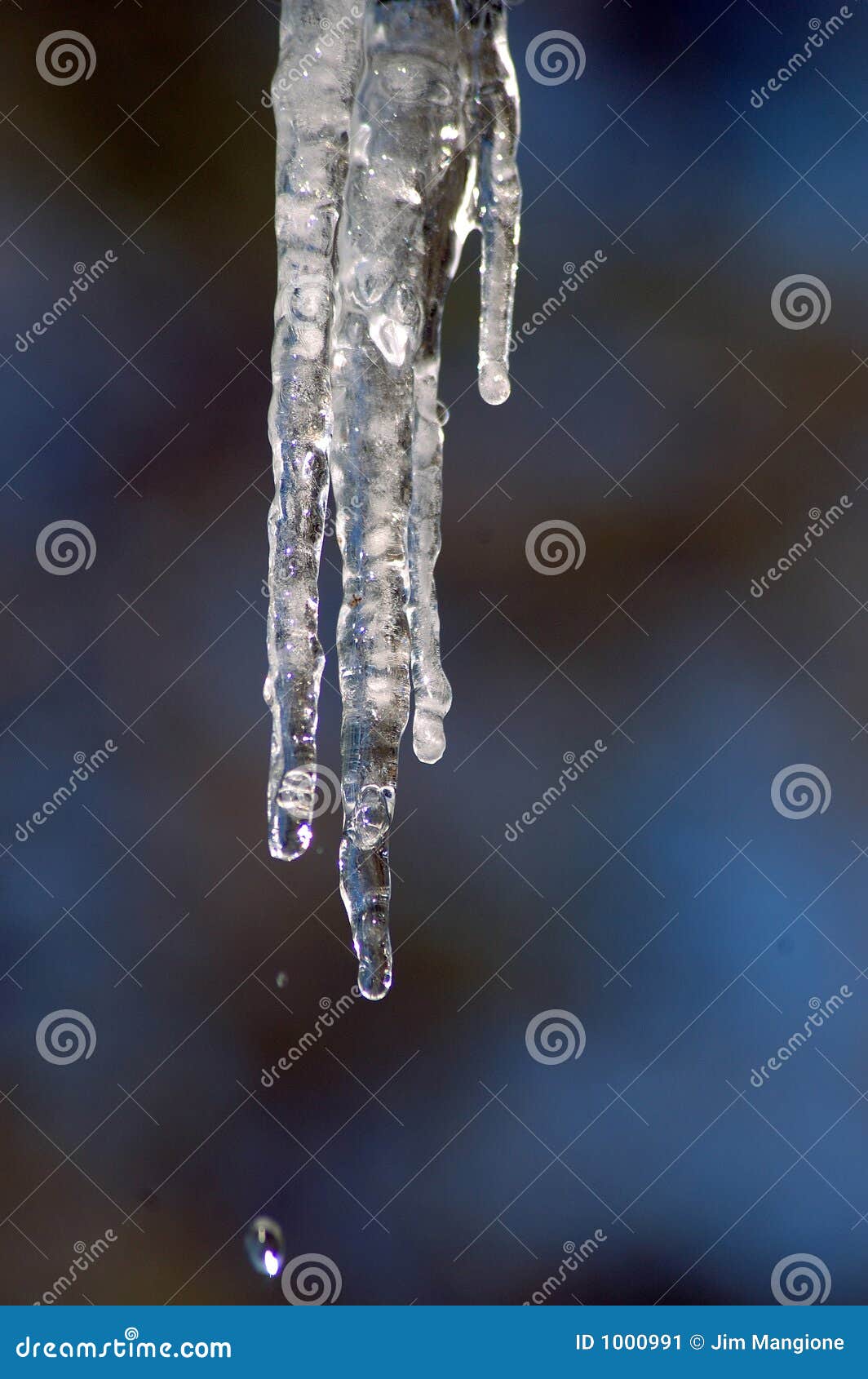 Icicle Dripping stock image. Image of icicle, water, drip - 1000991