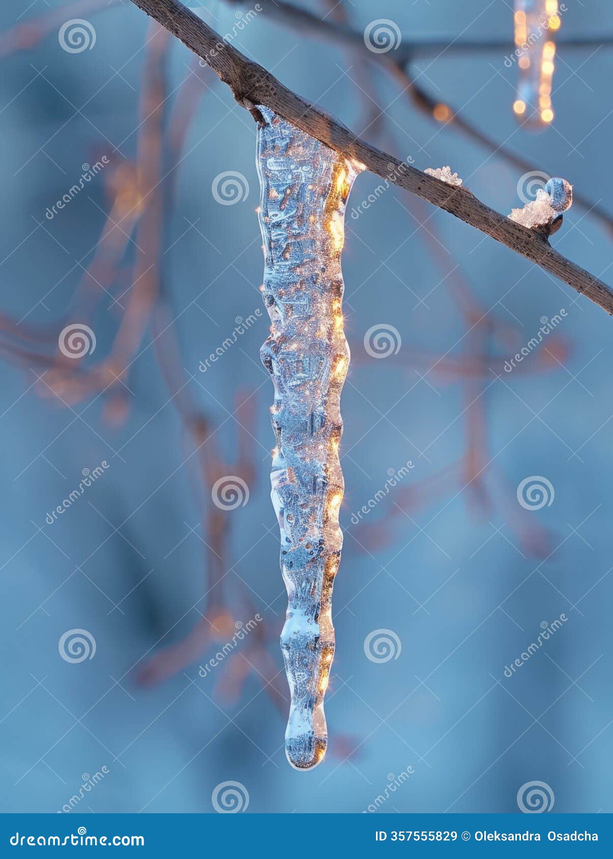 An Icicle Hanging from a Tree Branch in a Winter Setting. Stock Image ...