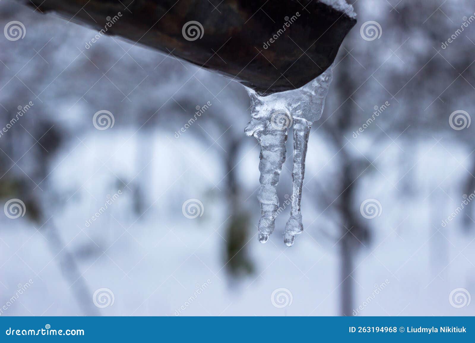 An Icicle Hangs from a Metal Gutter. Icing, Concept Stock Photo - Image ...