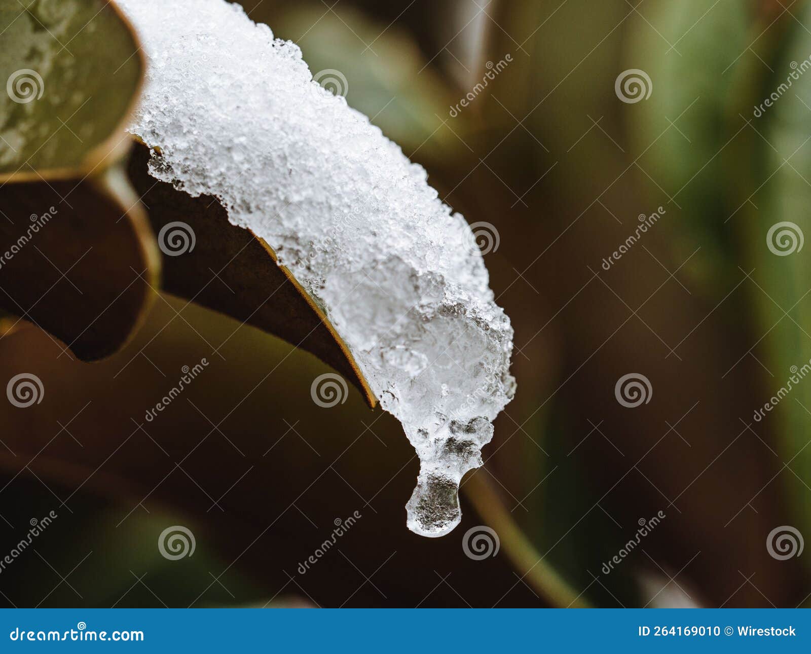 Icicle, a Spike of Ice Formed when Water Falling from an Object Freezes ...