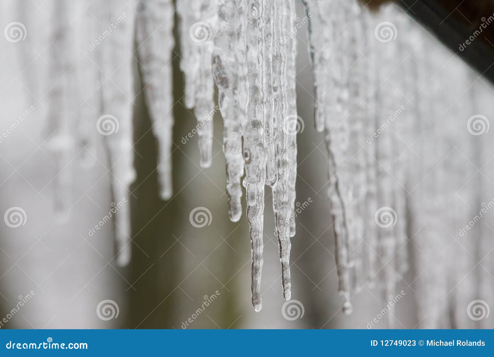 Icicles stock image. Image of nature, details, chilly - 12749023
