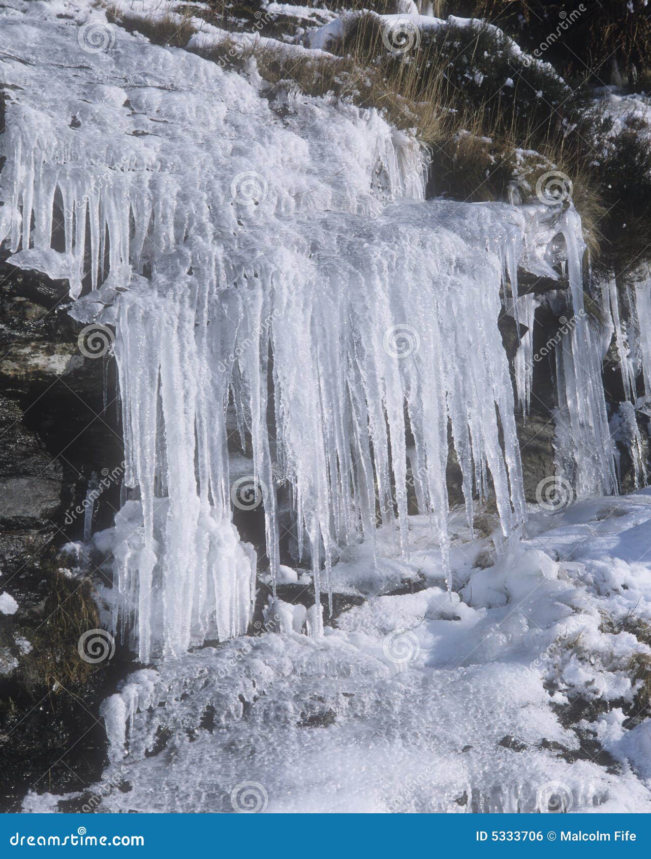 Icicles stock photo. Image of scotland, snow, frozen, icicles - 5333706